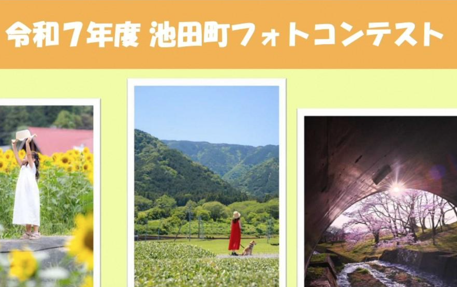 池田町 池田町フォトコンテスト｜ブログ｜FM GIFU[エフエム岐阜]